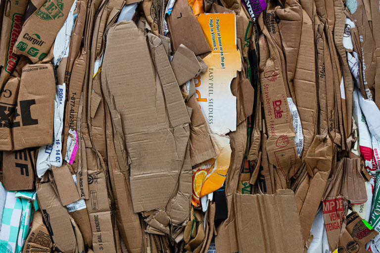 ¿Cómo se recicla el cartón? Proceso, beneficios y retos - Legro